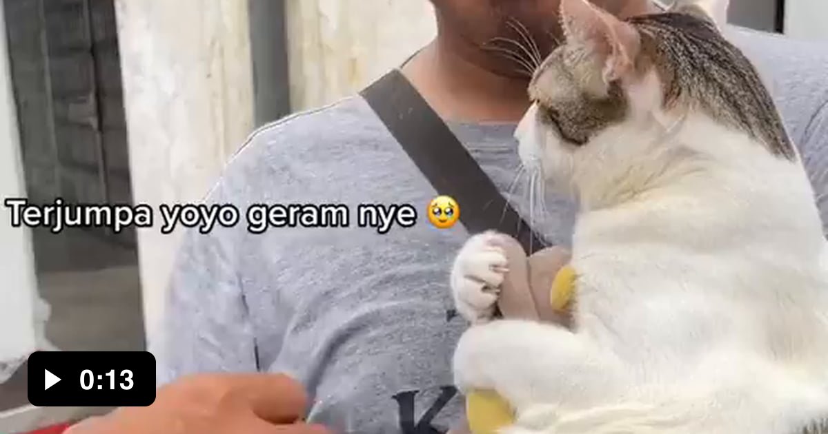 A Shy 9gag