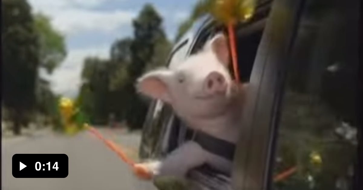 A classic commercial. Did the piggy say wee wee wee all the way home ...