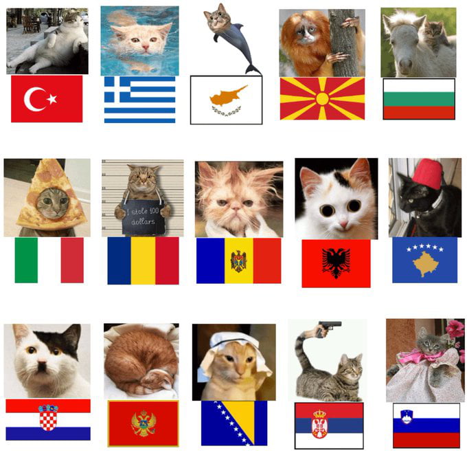 Balkans cat edition! - 9GAG