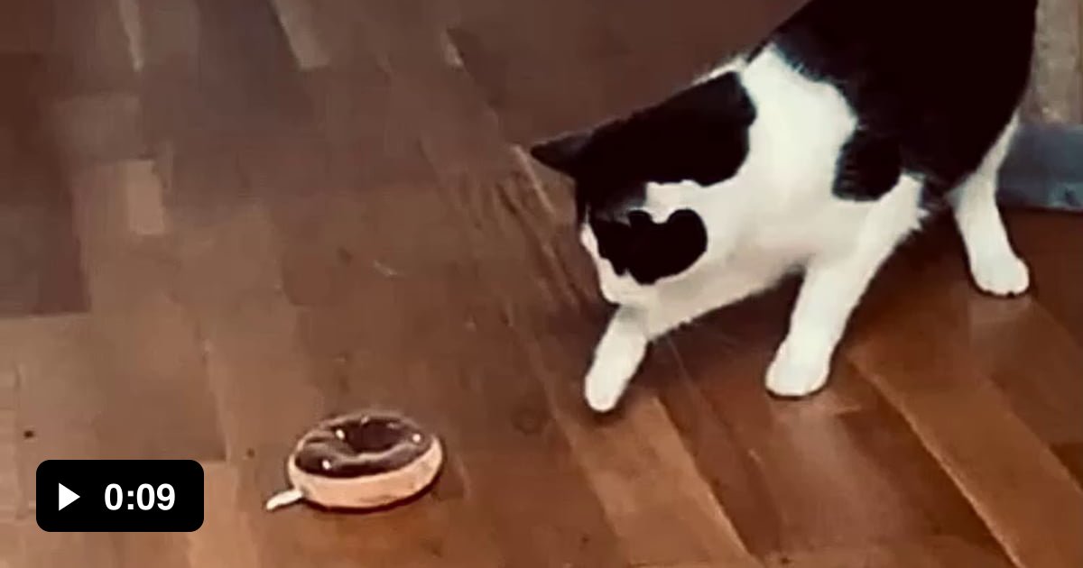 You doughnut ! - 9GAG