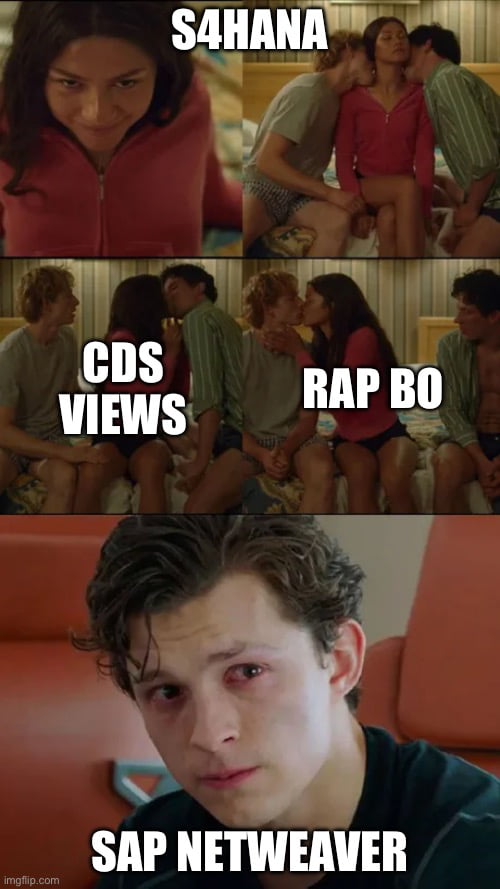 Really excited about learning RAP BO-based application model… after 23y of same-old same-old - 9GAG