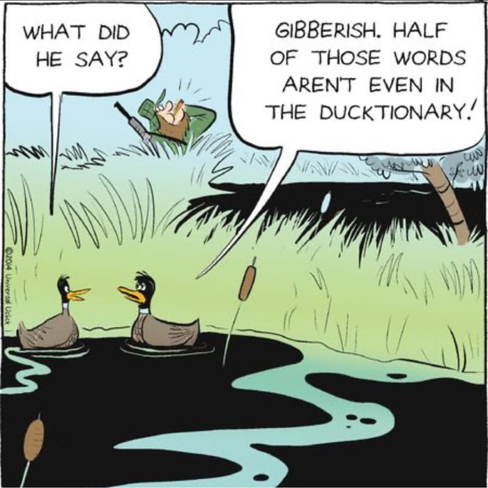 Here you go some unsolicited DUCK - 9GAG