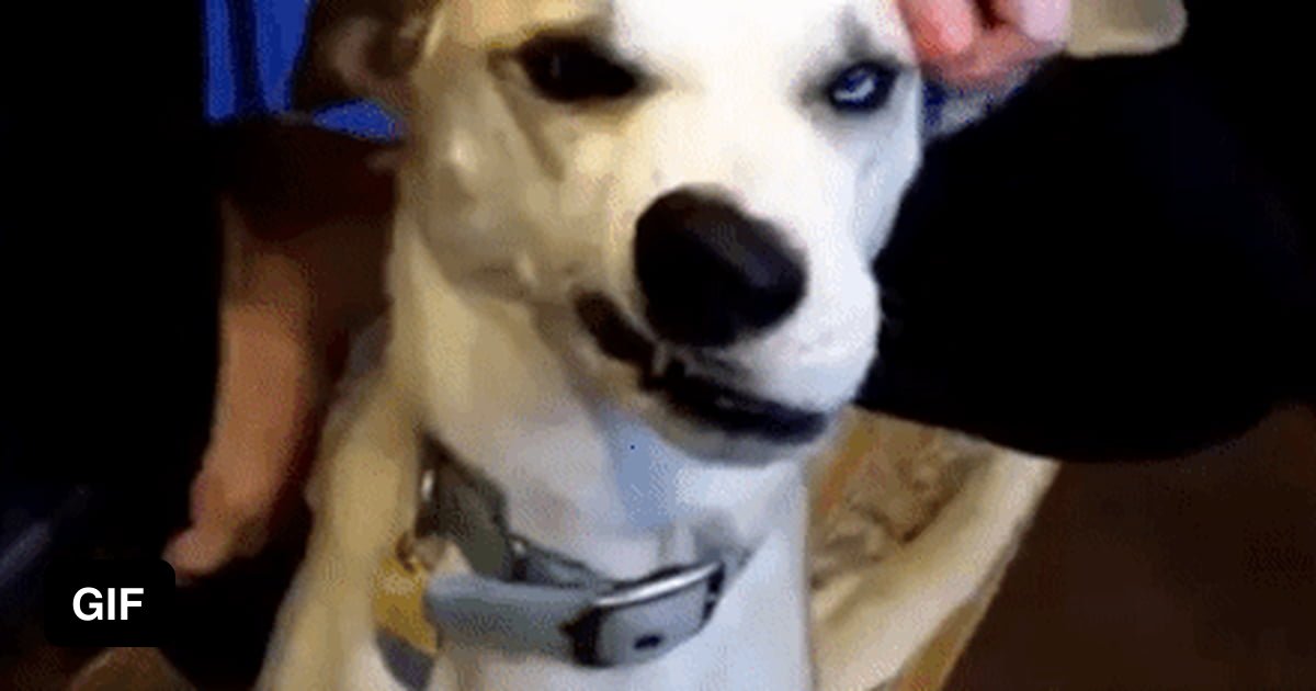 RPG character creation... - 9GAG