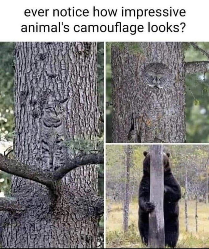 Like me hiding from my faults - 9GAG