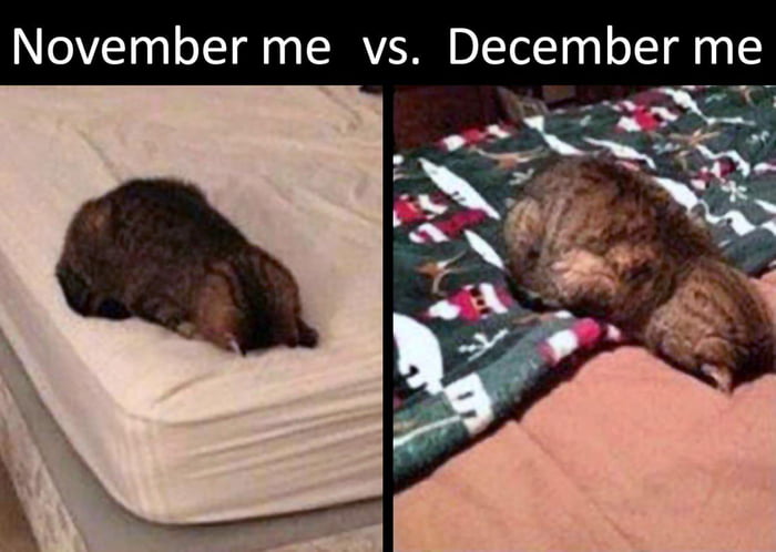 December me is more festive - 9GAG