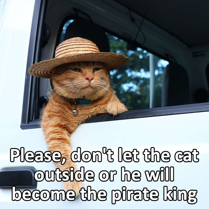 ORE WA KAIZOKU OU NI NARU OTOKO DA - 9GAG