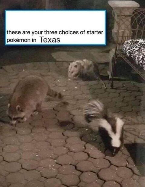 I should try my luck in the Florida region - 9GAG