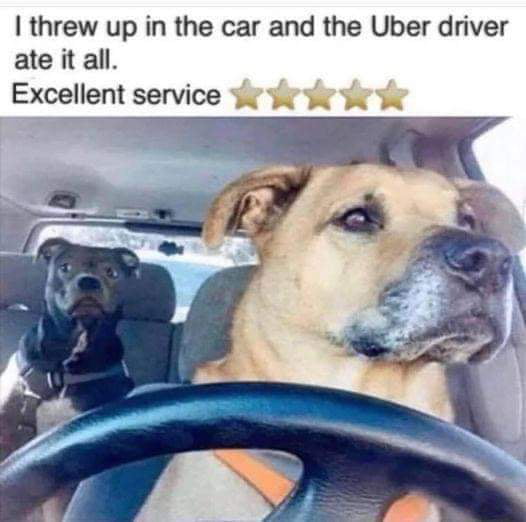 Excellent Uber service.... - 9GAG