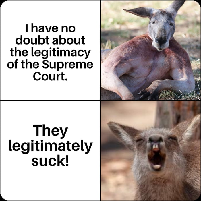 The Supreme Court needs to stop giving kangaroos a bad name. - 9GAG