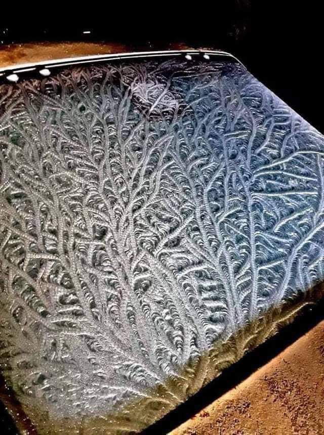 The ice frozen over this windshield - 9GAG