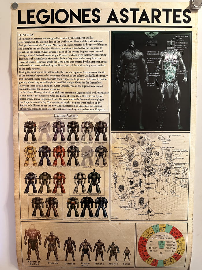 Can anyone tell me the source for this Legion Astartes poster? It’s ...