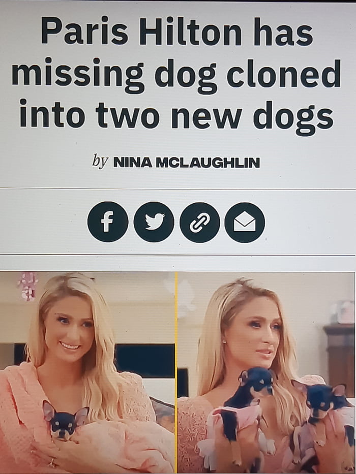 Two dogs ,, no soul.. - 9GAG