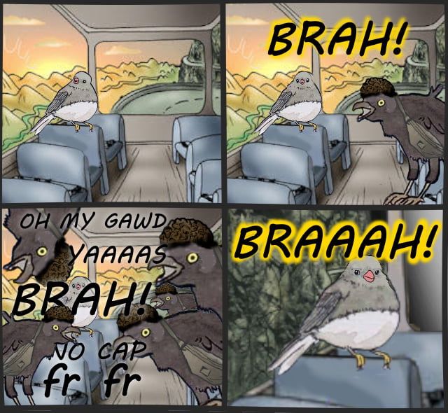 Riding on a bus in the diversity ridden parts of town - 9GAG