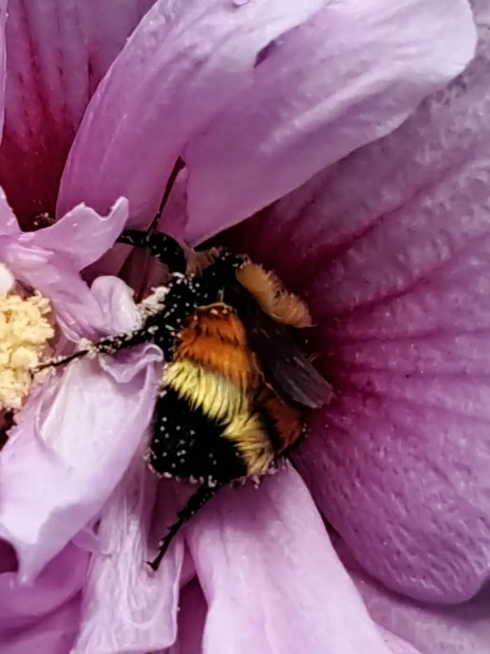 Bee's butt. Last pic mom took an sent to me. - 9GAG