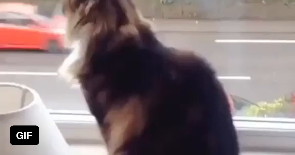 Professional Greeter - 9GAG