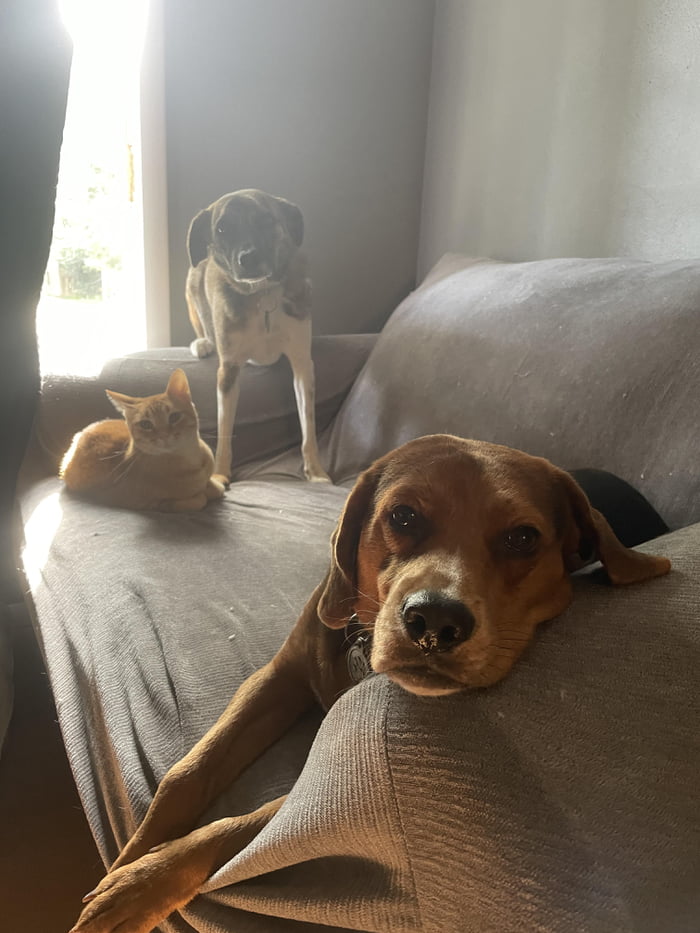 “Do you HAVE to go to work today?” - 9GAG