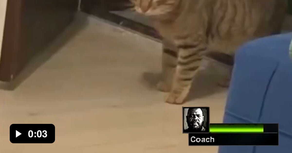 Suprise butf**k - 9GAG