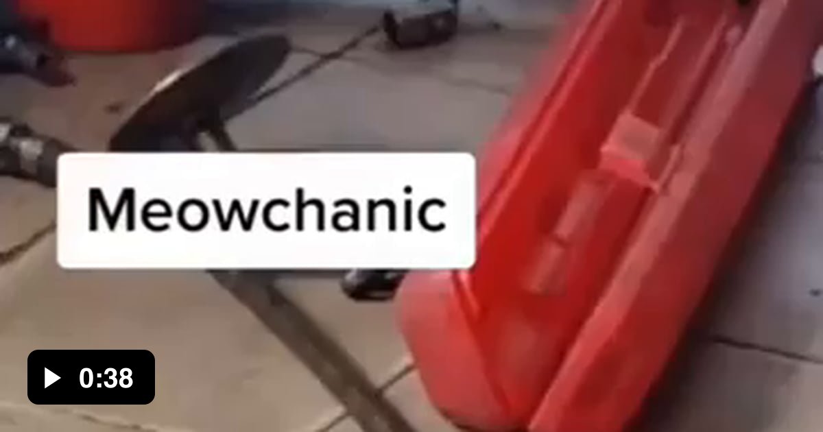Meowchanic - 9GAG