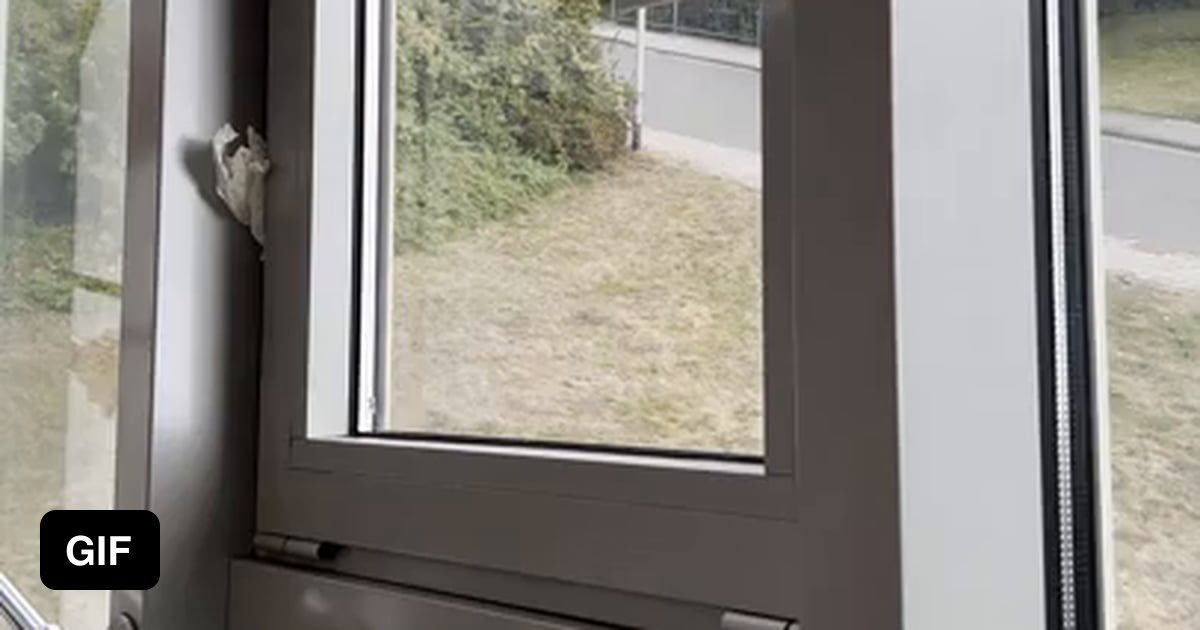 Window closes by itself - 9GAG