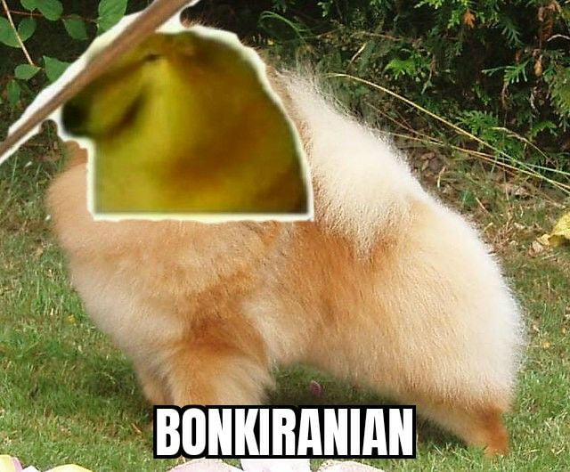 Bonk! - 9GAG