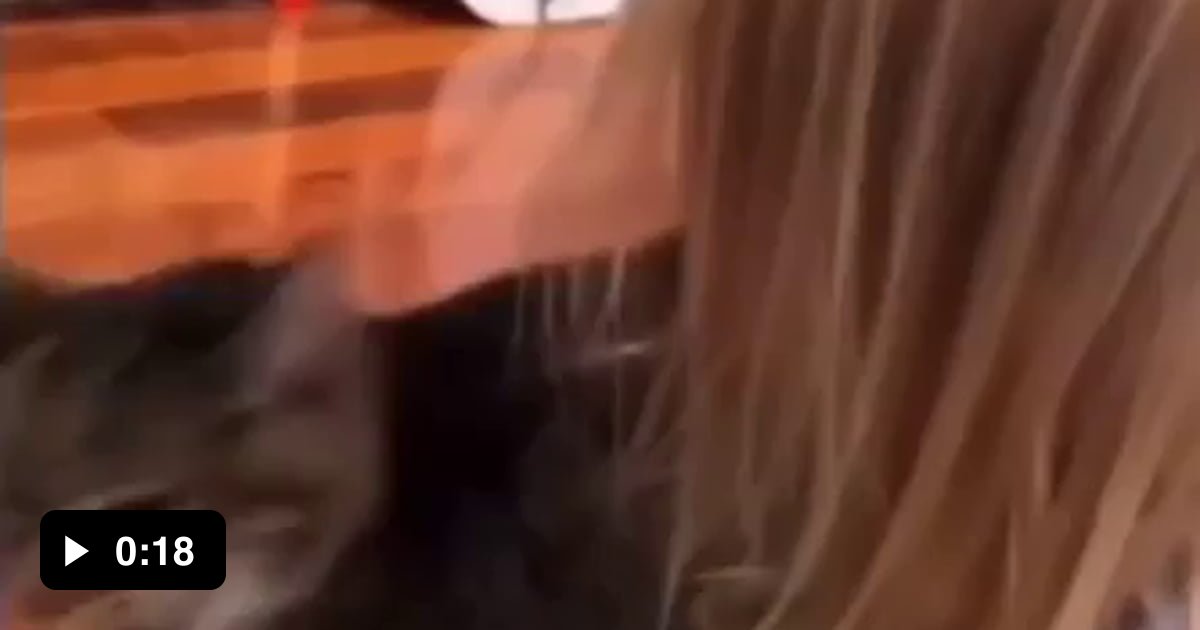 "Pinchis" humanos culeros; Atte: El gato. - 9GAG