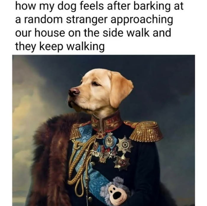 Field Marshal Good Boy - 9GAG