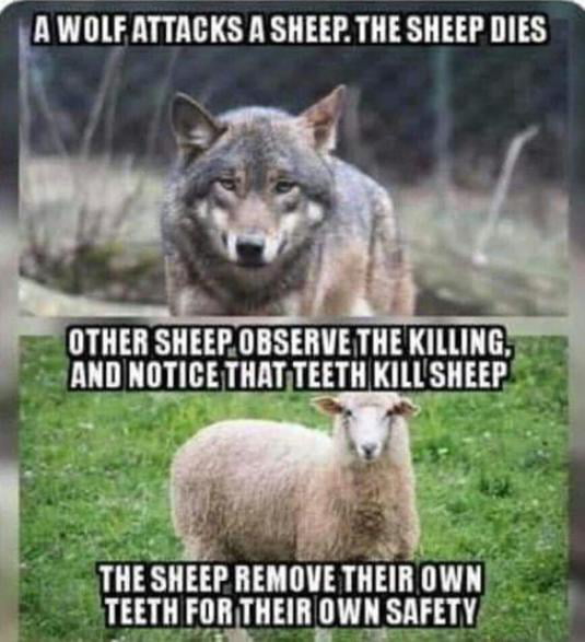 Wolves in Sheep's Clothing - 9GAG