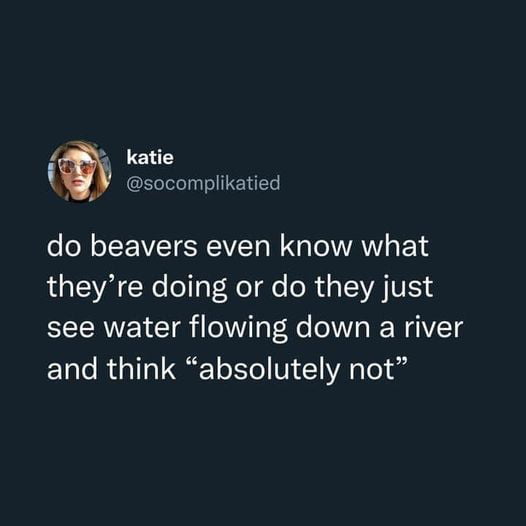 Yea I know, twatter post, but still, a valid question.... - 9GAG