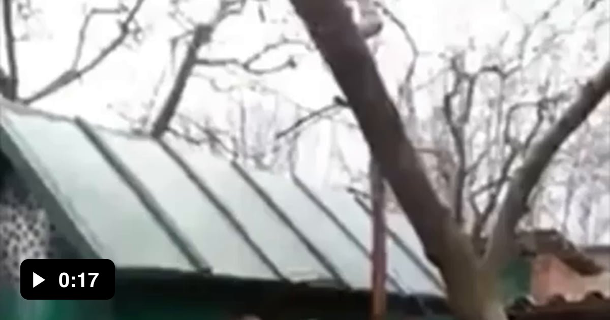 "Honey, we're eating good tonight!" - 9GAG