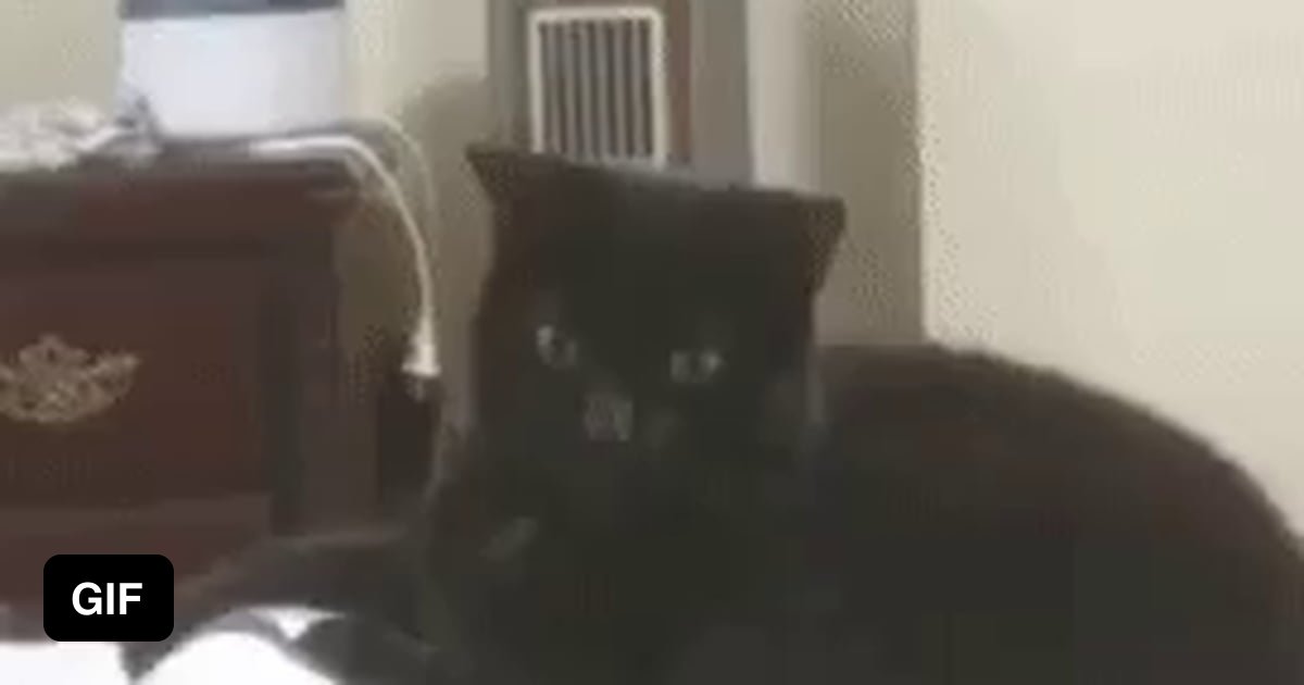 The Wind Up Bite - 9GAG