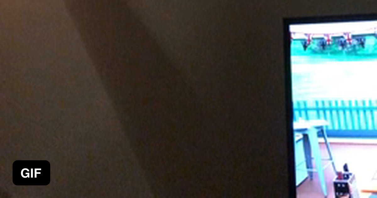 The funniest thing I’ve ever filmed (sorry for the vertical frame) - 9GAG