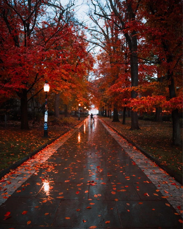 A rainy fall day at Princeton - 9GAG