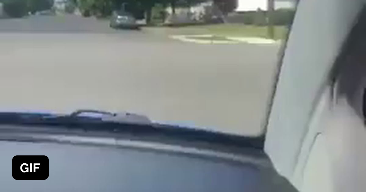 Guess who has got his driver license - 9GAG