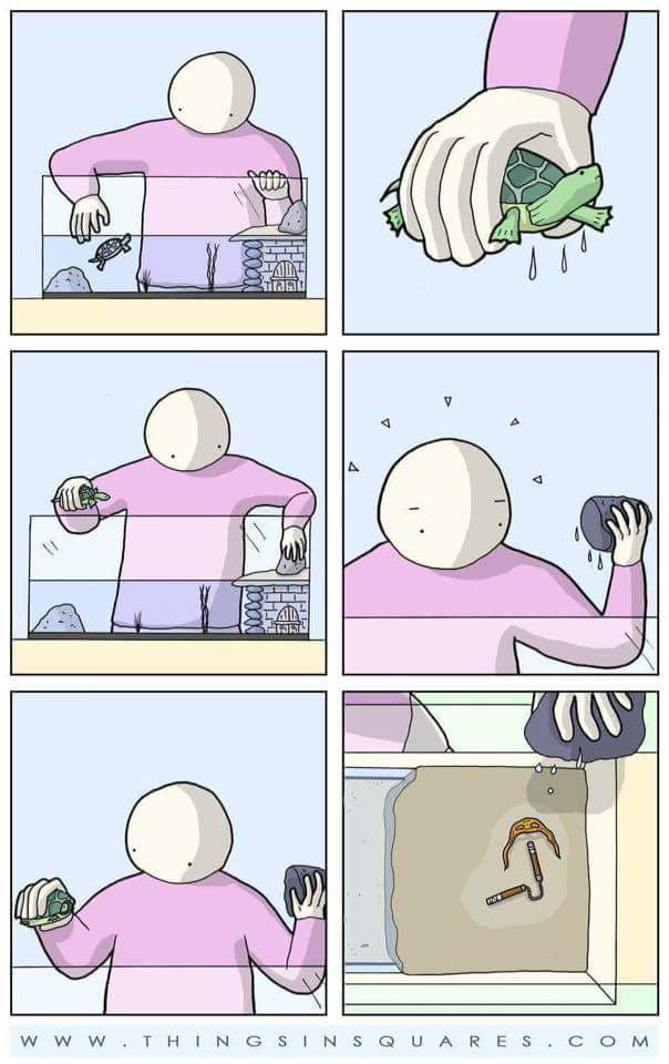 Turtle power - 9GAG