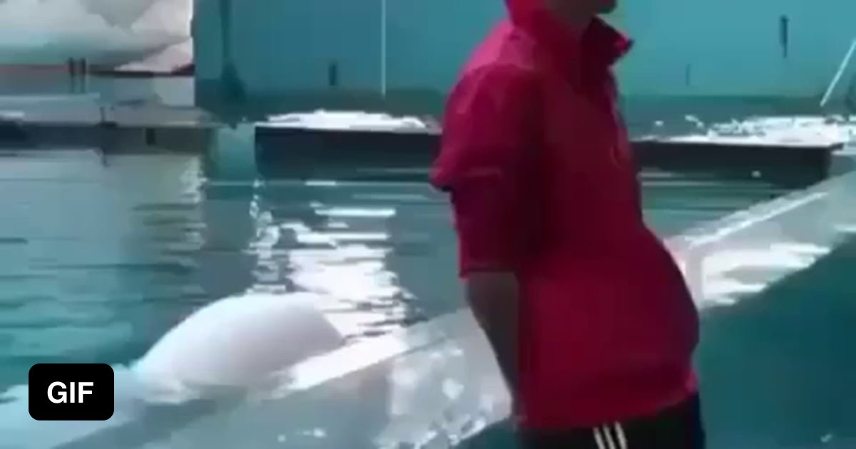 *boop* Hi fren - 9GAG