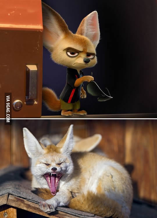Fennec fox in Zootopia - 9GAG