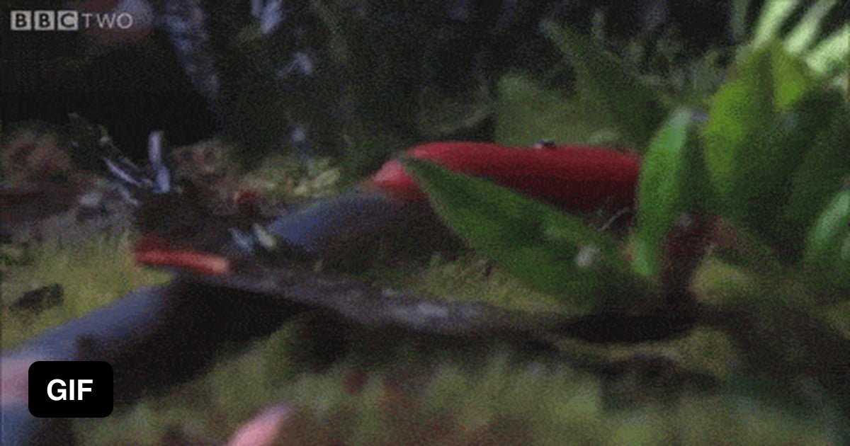 Some spaghetti? - 9GAG