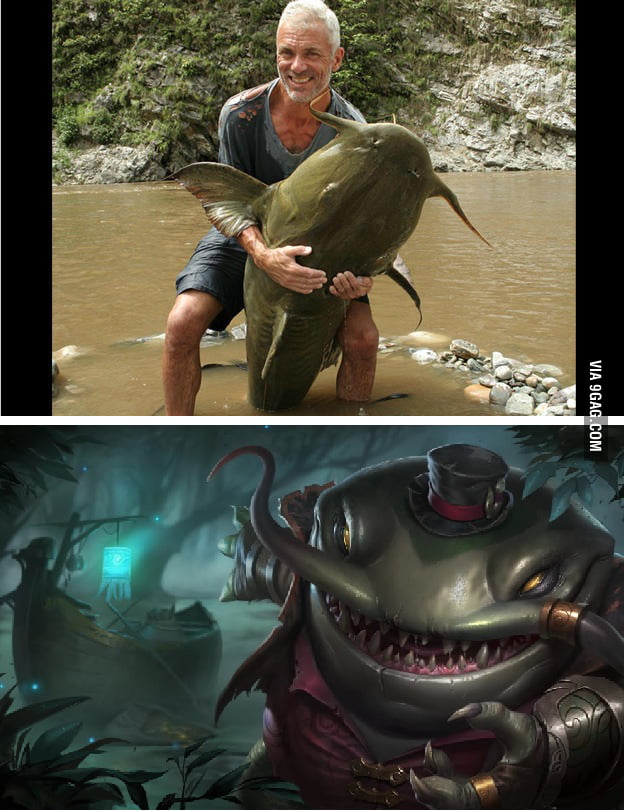 Man-sized Goonch Catfish.. It's Tahm Kench! - 9GAG