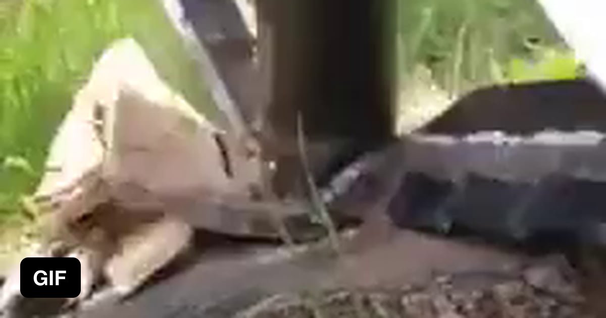 Removing remaining tree trunks. - 9GAG