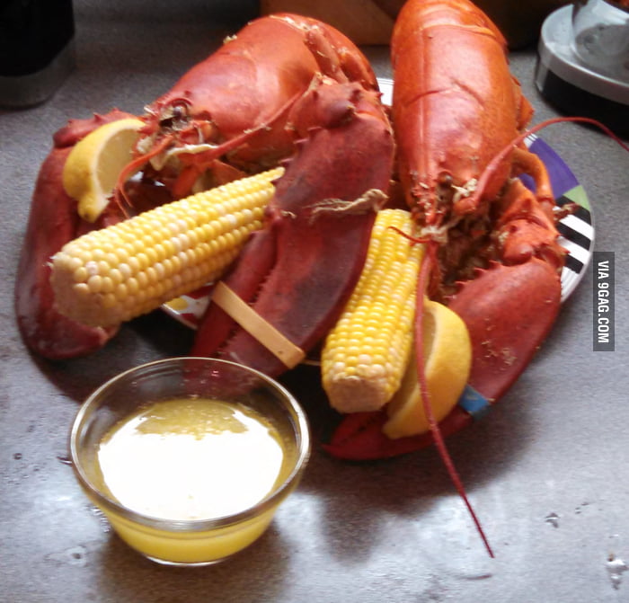 Two 2 1/2 pound lobsters, corn on the cob, lemon and drawn butter - 9GAG