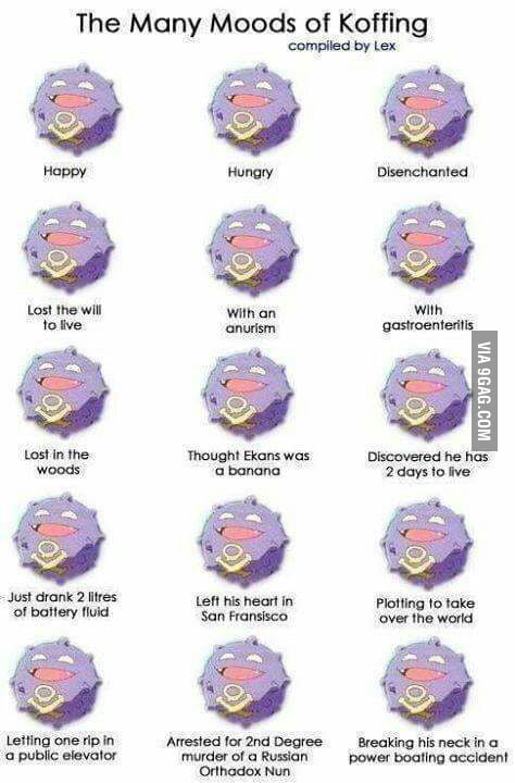 The many faces of koffing - 9GAG