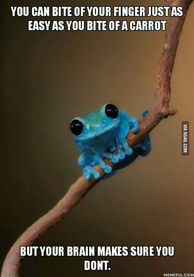 Feel free to try it out ;) - 9GAG