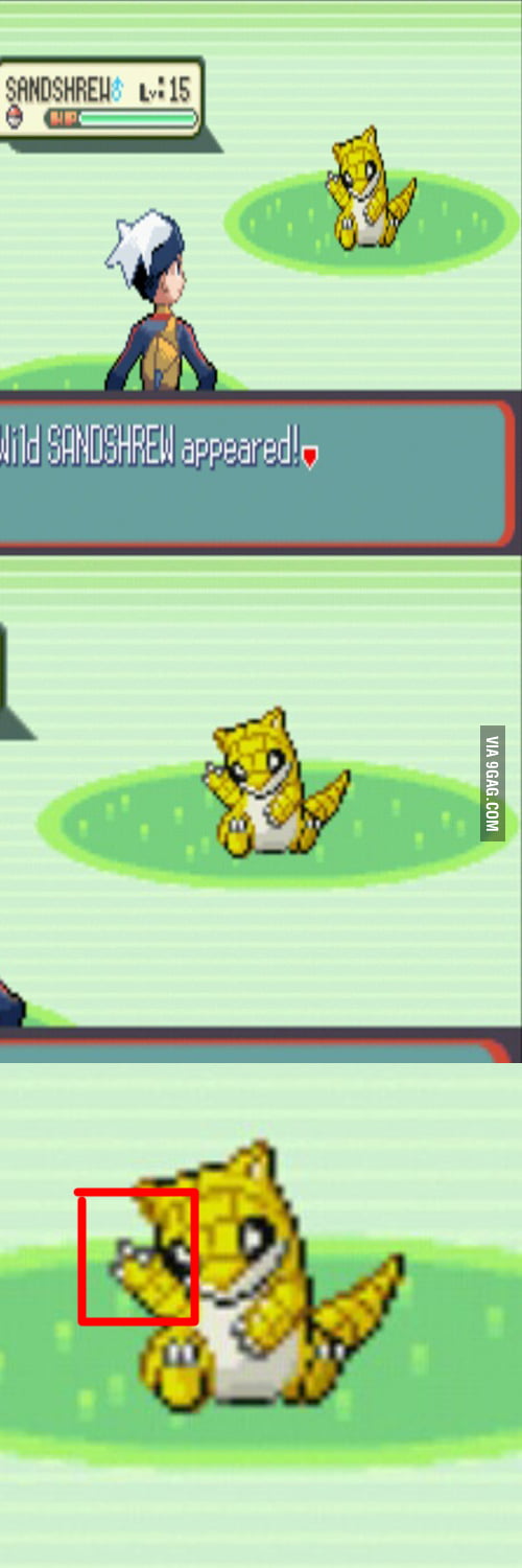 Badass sandshrew - 9GAG