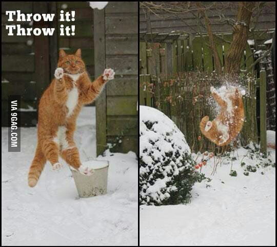 Throw it! - 9GAG