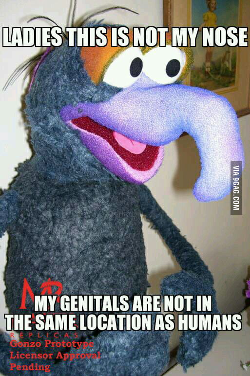 Gonzo dick nose - 9GAG