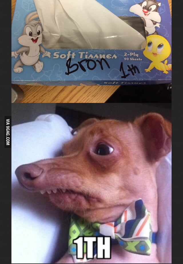 1th 9gag