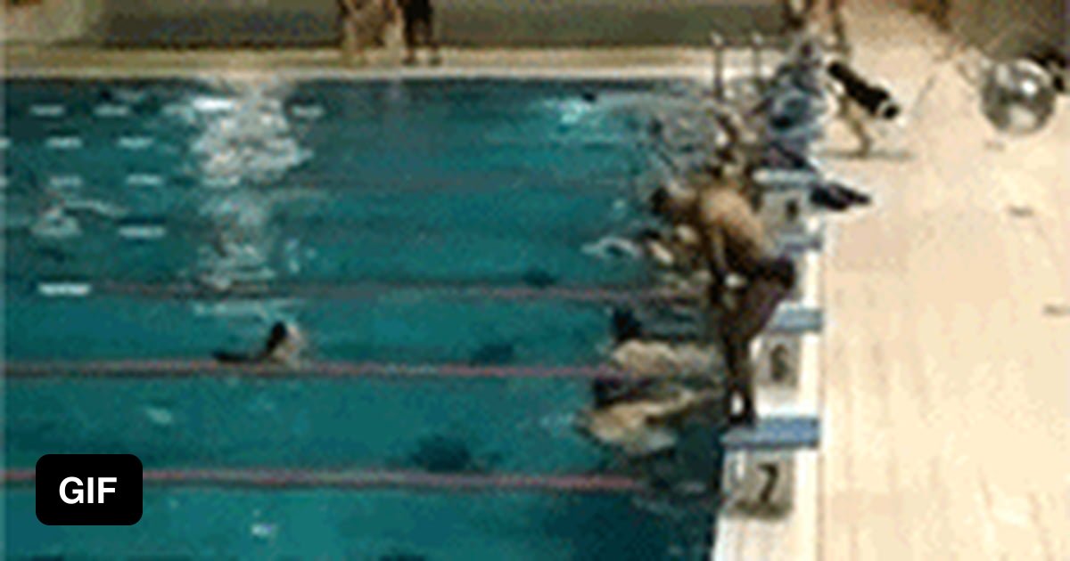 The dolphin dive - 9GAG