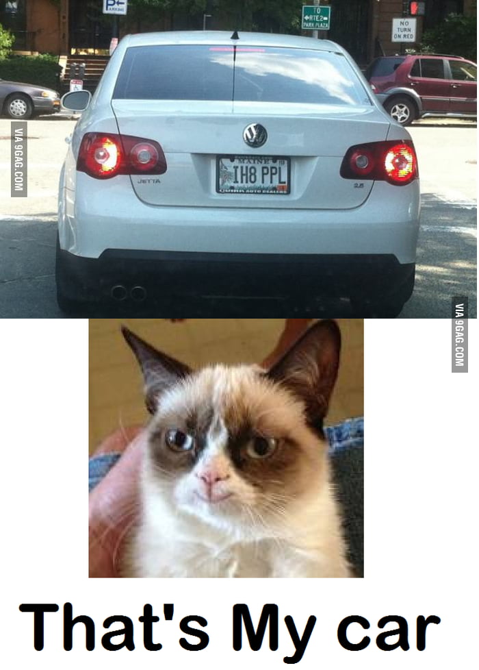 Grumpy cat strikes again. - 9GAG