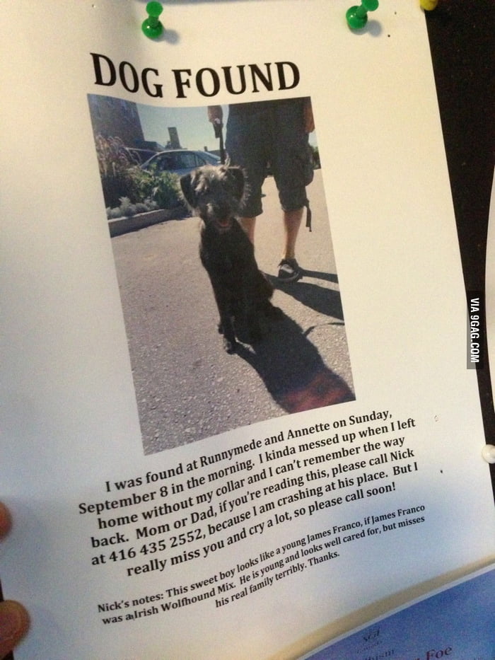 Good guy dog finder! - 9GAG
