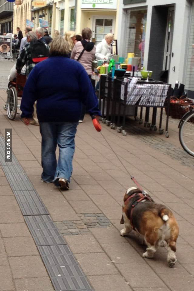 Like master, like dog - 9GAG